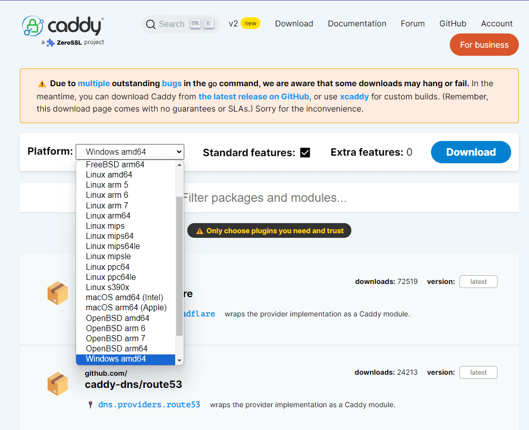 SSL Configuration for Your Domain Using Caddy Server Reverse-Proxy: A Step-by-Step Guide